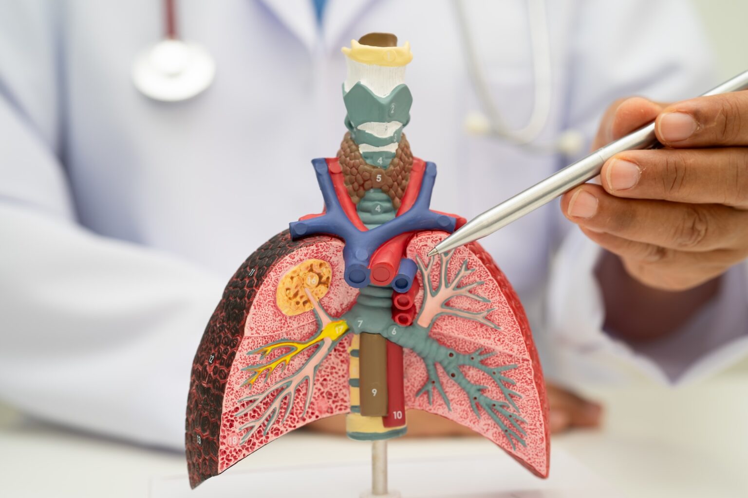 Clearing the Air: The Impact of Smoking and Vaping on Your Lungs – AFSPA